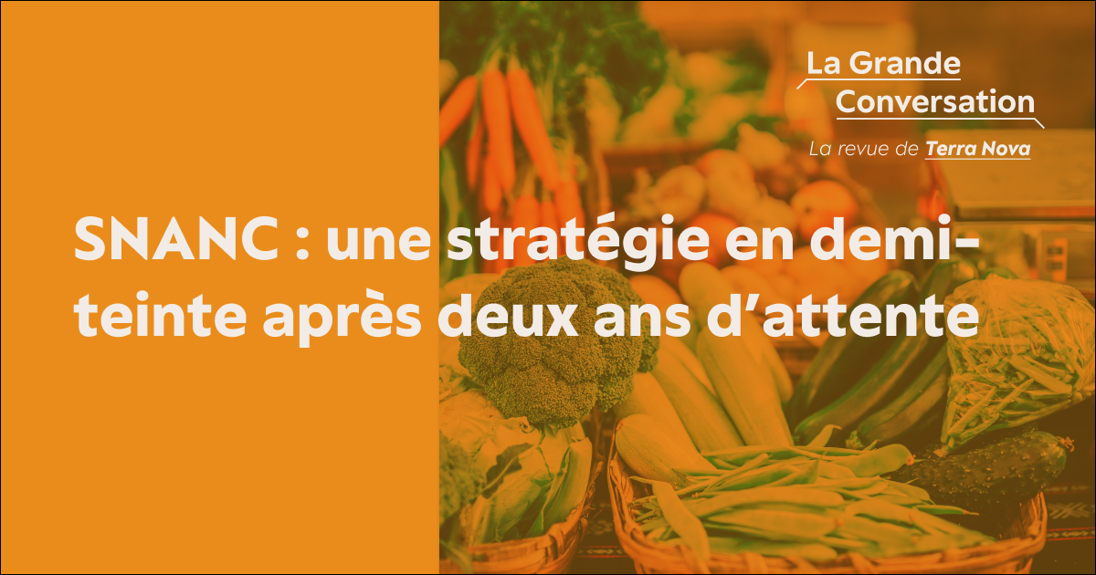 SNANC : une stratégie en demi-teinte après deux ans d’attente - La ...